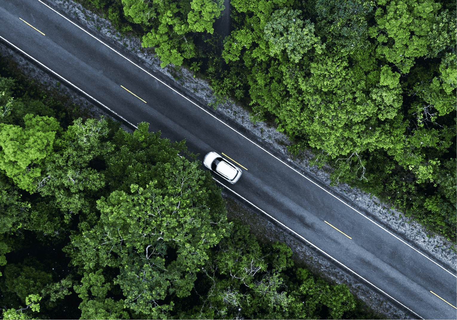 About Us — Lectron EV